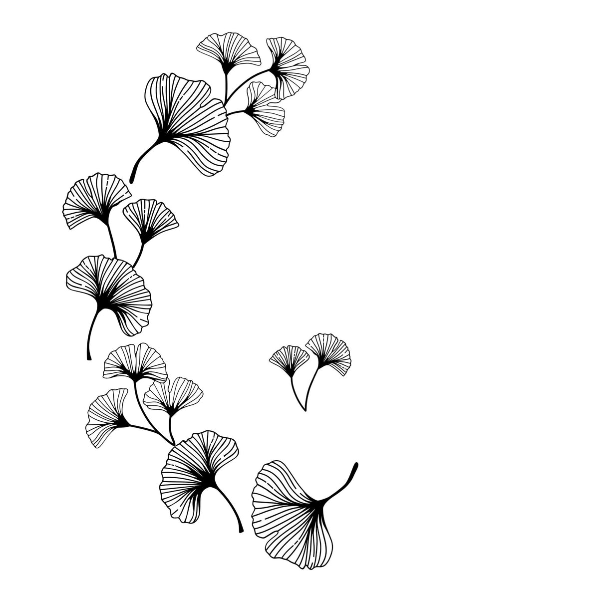 Ginkgo Leaves Traceable Wide Brim Hat Burning Design | Cool Moon Desig ...